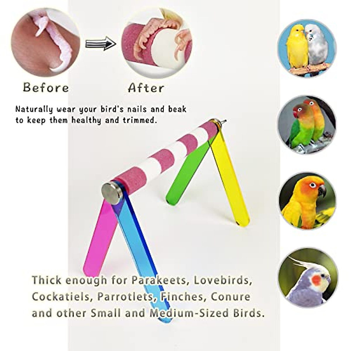 Parrot Play Stand Portable Bird Training Perch Rough-surfaced Corundum and Stainless Steel 8" (Red)