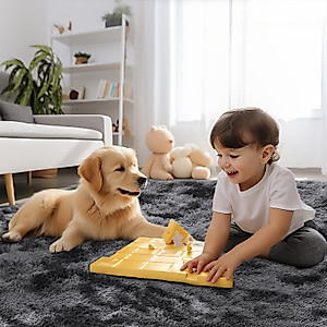 Sour Lemon 8x10 Area Rugs for Bedroom, Living Room Fluffy Rug, Large Area Rug Shag Shaggy Carpet Soft Plush Furry Bedside Rugs, Machine Washable Area Rugs for Kids Girls Boys Home Decor Anti Slip