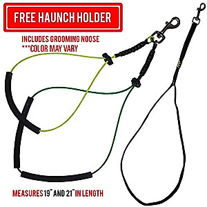 Downtown Pet Supply Dog Grooming Arm with Clamp and Grooming Loop, 2 Haunch, Purple - Adjustable, Steel Grooming Table Arm with Table Clamp, No Sit Haunch Holder Dog Grooming Restraint and Loop