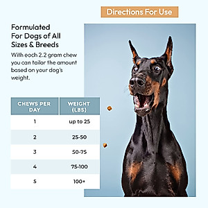 Gnawty Bites Biome Balance | Dog Probiotics for Healthy Gut Flora for Upset Stomach, Diarrhea, & Bowel Support with Digestive Enzyme & Lactobacillus (5-Strain Probiotic Blend), 120 Soft Chews