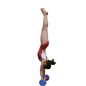 Tumbl Trak Forster Bar Skills Trainer,Blue 20 in x 5 in x 5 in