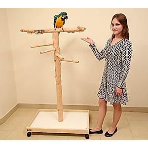 Large NU Perch Parrot Climbing Tree