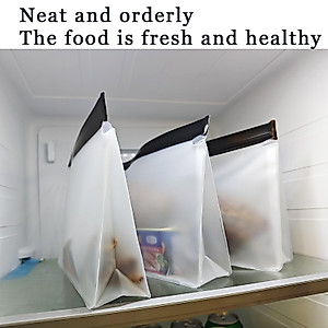 Ulifebetter 3 Pcs Reusable Ice Storage Bags with Secure Zip, 10"*7"*2.5"Freezer Bags Clear Ice Cube Storage Bags Freezer Storage Bags Ice Holder for Ice and Food Storage