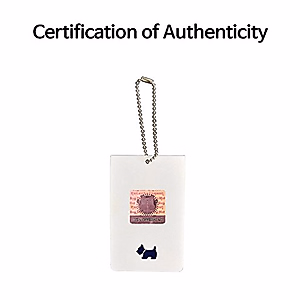 BTS X AGATHA Travel Edition Canvas Backpack Rucksack School College Backpacks for Unisex, Jean - Medium (0.98 cu ft)