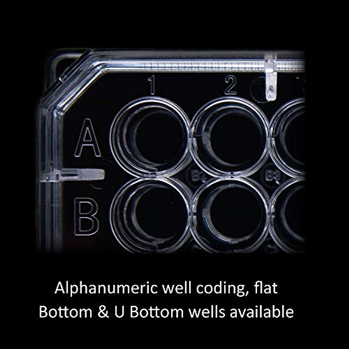 Grow Cells with Olympus 24-Well Tissue Culture TC Treated Plates, Sterile, Individually Wrapped, Flat Bottom Wells, 100 Treated Cell Culture Plates/Unit
