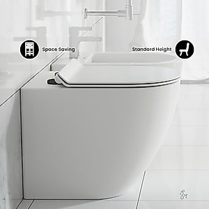 St. Tropez Back to Wall Concealed Tank Toilet Bowl, Black Hardware