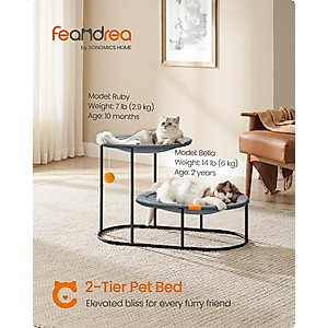 Feandrea Cat Bed, 2-Tier Elevated Cat Bed, Breathable Cat Hammock for Multi-Cat Households, Indoor Cats, with Removable Washable Mesh, Steel Frame, for Summer, Dove Gray UPCB012G01