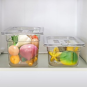 Helfe Pack of 6 Polycarbonate Clear Food Trays 1/4 Size Stackable Plastic Trays Square Food Storage Containers for Kitchen Restaurant Food Preparation and Office Organization