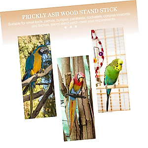 HANABASS 3pcs Parrot Standing Stick Natural Bird Perches Parrot Exercise Toys Hamster Teeth Grinder Parakeet Cage Perch Hamster Supplies Bird Cage Accessories Bird Tree Pet Toy Wooden