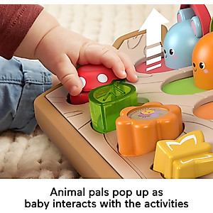 Fisher-Price Baby Toy Hide & Peek Pop-Up Animal-Themed Sensory Activity with Wood Accents & Sounds for Ages 9+ Months