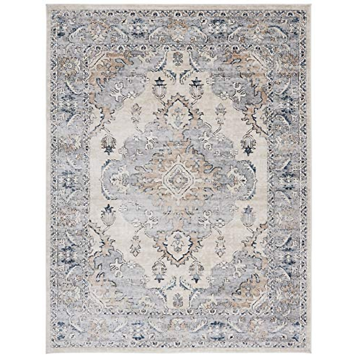 SAFAVIEH Oregon Collection 8' x 10' Beige/Grey ORE898B Oriental Distressed Non-Shedding Living Room Bedroom Dining Home Office Area Rug