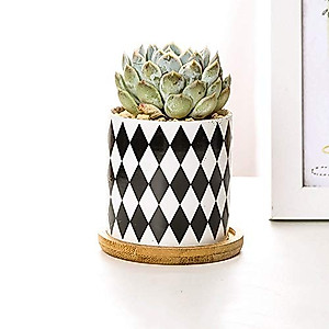 FURLOU Pottery Planter,Small Plant pots,Geometric Pattern Ceramic Succulent Small Ceramic Pot Ceramic Flower Green Plant Container Planter Classic Round Shape Planter Beautiful Scenery (Co Flower (Co