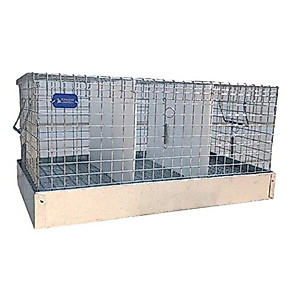 Rabbit Carrier/Transport Cage - 3 Hole (14x24x12)