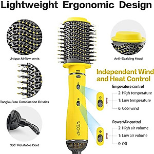 Hot Air Brush, 4 in 1 One Step Professional Hair Dryer Brush, Negative Ion Detachable Blow Dryer Brush for Curling Drying Straightening Combing with Travel Storage Box