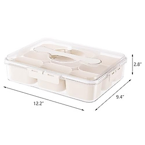 2 Pack Portable Picnic Parties Fruit Tray, 9 Compartment Fridge Food Veggie Condiment Divided Serving Preservation Storage Containers, Kitchen Clear Snackle Box Candy Organizer with Lid Handle