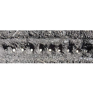 Gardinnovations Seed-in Soil Digger and Soil Spacer for Planting Seeds