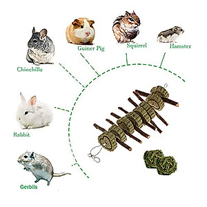 Tfwadmx 3 Pcs Rabbit Chew Toys Natural Timothy Grass Balls Rabbit Organic Apple Wood Sticks Improves Dental Health for Chinchilla Rat Guinea Pig Hamsters Gerbil