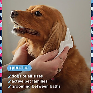 Pet Life Unlimited Dog Ear & Eye Wipes & Cleansing Dog Wipes Bundle - Pet Wipes for Dogs, Dog Cleaning Wipes, Plant-Based Dog Wipes - Dog Ear Wipes, Dog Eye Wipes - Plant-Based Dog Ear Cleaner Wipes
