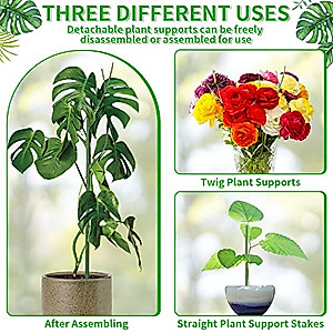 ROADPLUM 5 Pack 27.56" Detachable Twig Plant Support Stakes Set, Blends in to Plant, Branch Plant Sticks with Orchid Clips Twist Plant Ties, Twig Trellis for Indoor Outdoor Plants Potted Plants Flower