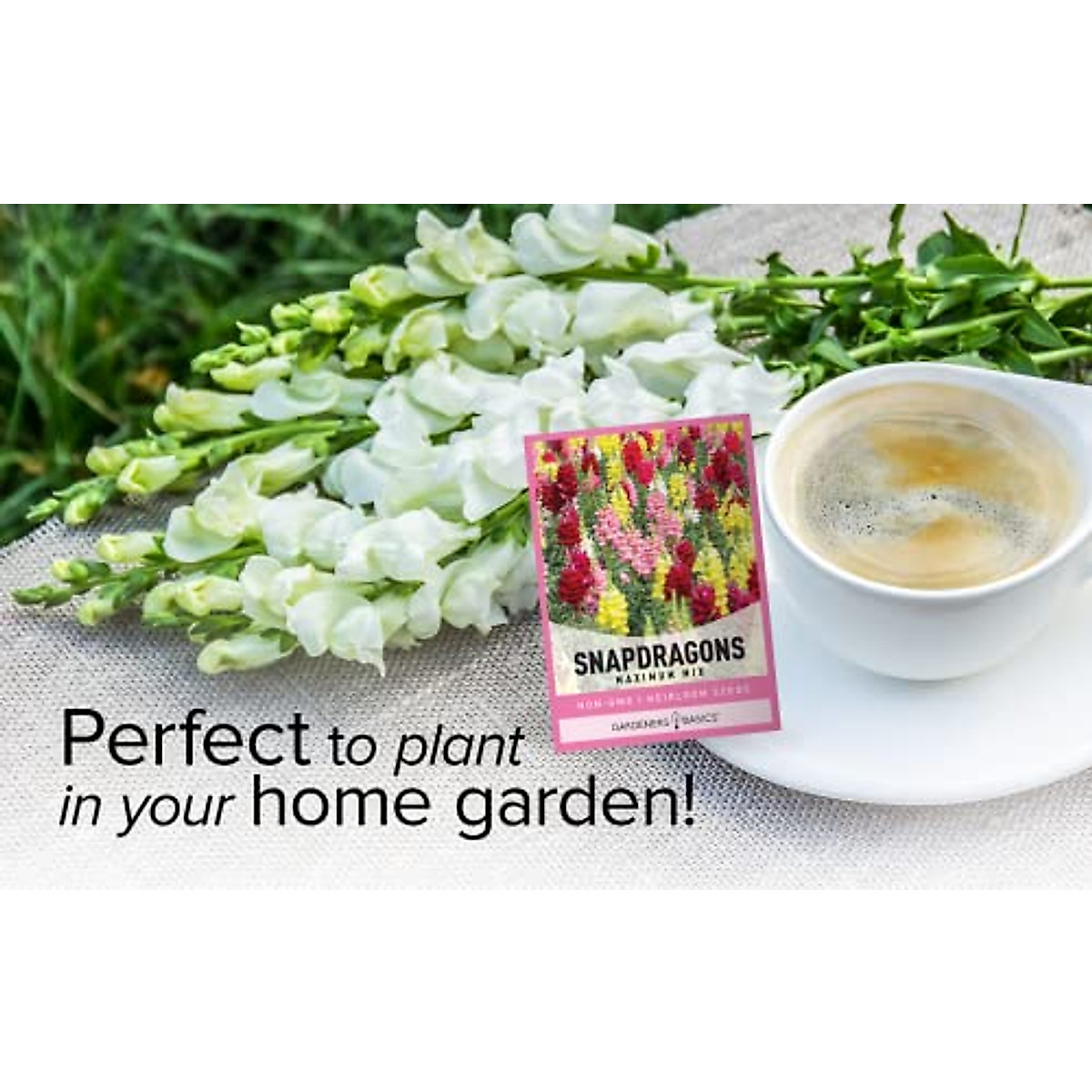 Snapdragon Seeds for Planting (Maximum Mix Snap Dragon) Annual Flower Heirloom, Non-GMO Variety- 400mg Seeds Great for Summer Seeds for Gardening Flowers Gardens by Gardeners Basics