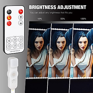 ViLSOM Led Vanity Mirror Lights Kit, 13ft/4M 240 LEDs Make-up Vanity Mirror Light for Vanity Makeup Table Set with Dimmer and Power Supply, Mirror not Included