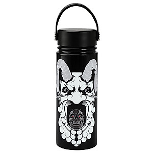 Dungeons and Dragons Stainless Steel 17 Oz Water Bottle
