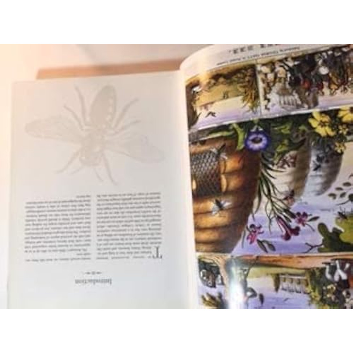 The Beekeeper's Bible: Bees, Honey, Recipes & Other Home Uses