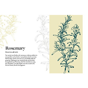 Adaptogens: Harness the power of superherbs to reduce stress & restore calm