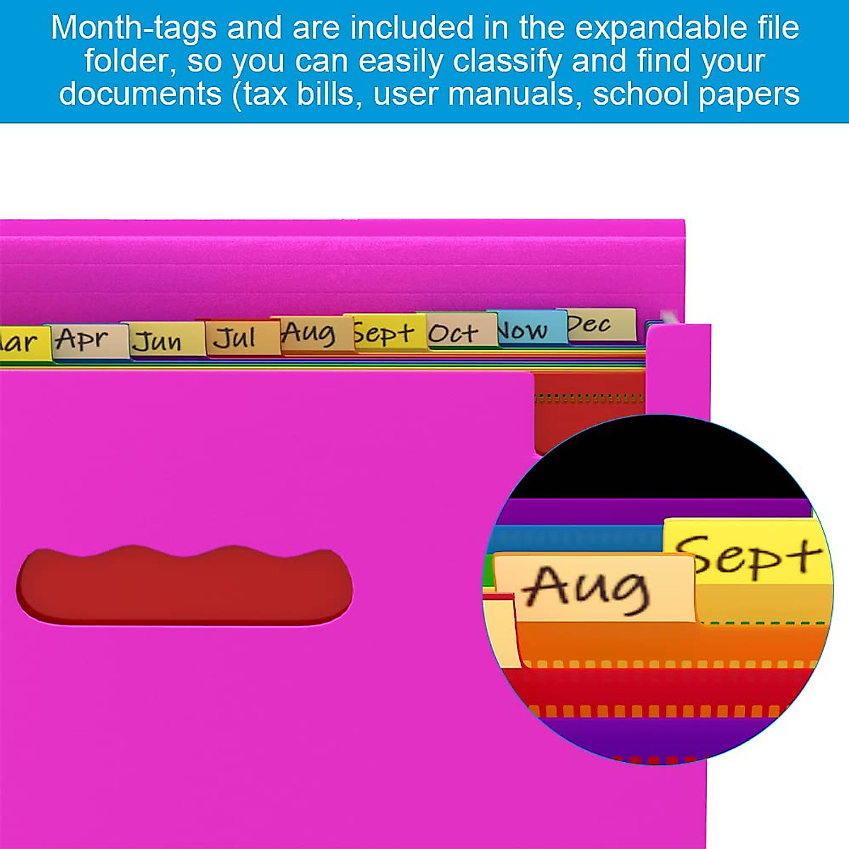 CN1ST Expanding File Folder with Sticky Labels, Accordian File folders Organizer, Expandable Filing Folder for Documents Letter Size and A4 Size