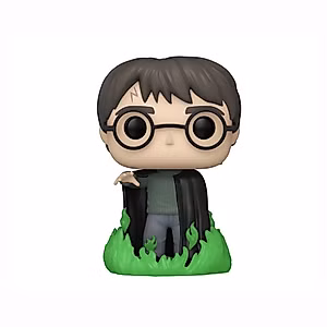Harry Potter Funko POP | Harry Potter with GITD Floo Powder Exclusive