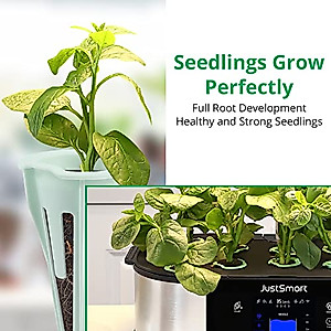 JustSmart 50 Pack Growth Sponges, Replacement Root Growth Sponges Seed Pods Compatible GS1 Series, Seedling Starter Sponges Kit for Hydroponic Growing System Indoor Garden