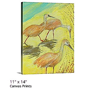 Sandhill cranes