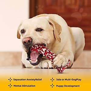 Dog Toys- eco Rubber Toys-Waste Poop Bags-Toy Bag- Medium and Large Breeds-Interactive Dog Toys for Large Dog