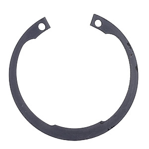 Bosch Parts 2916660021 Retaining Ring