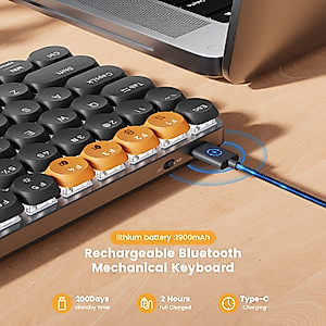 ProtoArc MECH K301 Office Keyboard - 75% Tactile Quiet Keyboard with Backlit, Triple-Mode 2.4G/USB-C/Bluetooth, Red Switches for PC, Mac, Windows, iPad - 84 Keys