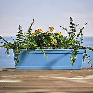 Bloem Dayton Window Box Planter 24" Blue (DAYWB2471)