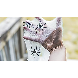 Happy Hippo Halloween Spider Web Decoration, 200 Sqare Feet & Plastic Spiders, Halloween Party Supplies, Spider Webs (Small, 200 Sq Feet)