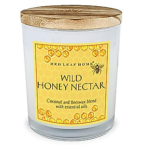 Red Leaf Home | Wild Honey Nectar Candle, Medium | Honeycomb Collection, Aromatherapy, Gift | 11oz Jar