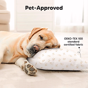 KeaBabies 2-Pack Toddler Pillow 13x18 - Soft Organic Cotton Kids Travel Bed Pillows for Sleeping, School, Nap, Machine Washable, Toddlers 2 to 5, Pillowcase Sold Separately (Excavator)