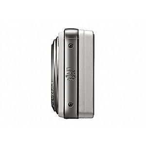 Sony Cyber-shot DSC-W290 12.1 MP Digital Camera with 5x Optical Zoom and Super Steady Shot Image Stabilization (Silver)
