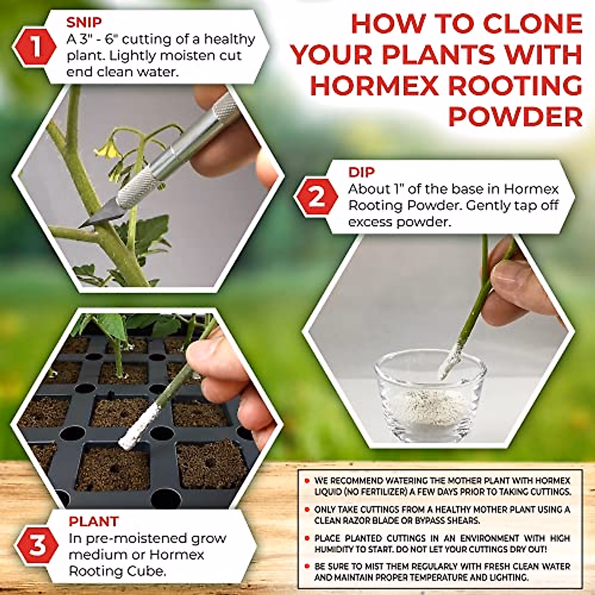Hormex Rooting Powder #8 - Rooting Hormone for Moderately Difficult to Root Plants - Fast & Easy Way to Clone Plants from Cuttings - Stronger, Healthier Roots Using Cloning Powder - 0.8 IBA