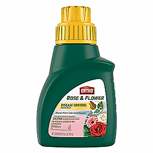 Ortho Rose & Flower Disease Control Concentrate, 16 oz