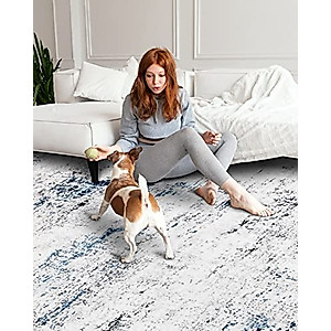 Area Rug Living Room Rugs: 3x5 Small Soft Indoor Carpet Modern Abstract Rug with Non Slip Rubber Backing for Under Dining Table Nursery Home Office Bedroom Gray Blue