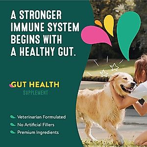 Happy Go Healthy Gut Health + Skin & Coat Bundle Supplements for Dogs - Probiotic & Prebiotic Benefits with Omega-3s | 2 x 21 Count Bags