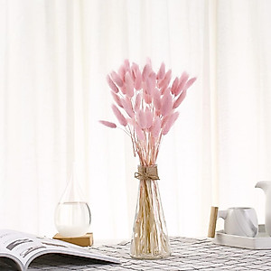 60PCS Rabbit Tail Grass Dried Flowers Dried Natural Floral Arrangement Bunch Decoration Dried Grass,Eternal Flower Dried Grass for Home,Wedding,Party,Flower Bouquet,Photo Props Decor (Light Pink)