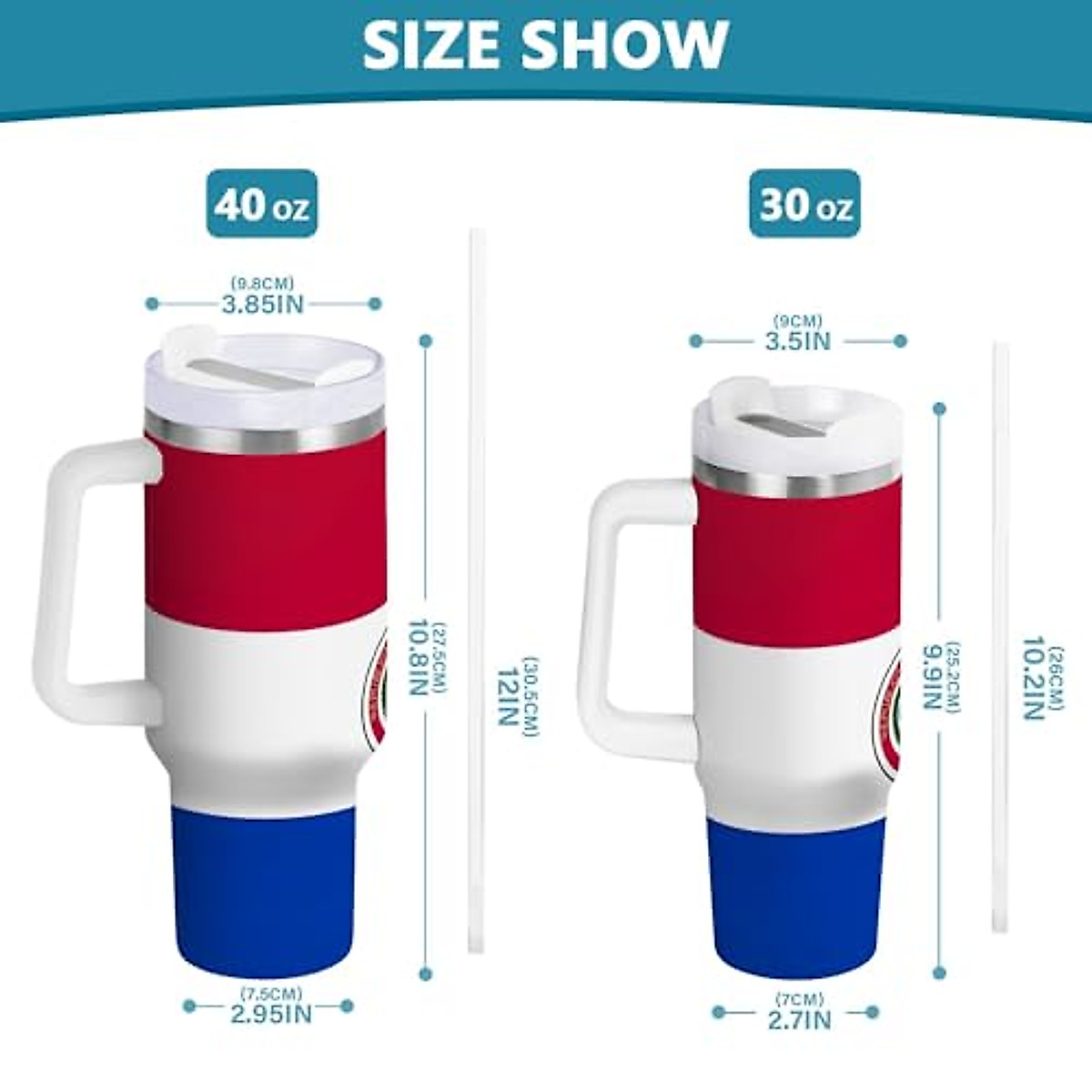 ODAWA Large Travel Insulated Tumblers with Handle and Straw, Paraguay Flag Double Wall Insulated Tumbler Insulated Vacuum Tumbler