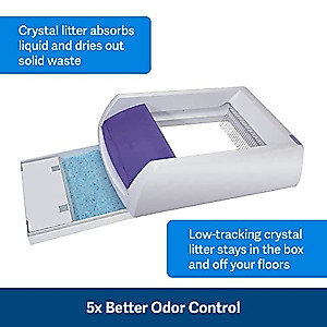 PetSafe ScoopFree Self-Cleaning Cat Litter Box Privacy Hood, Purple