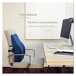 Car Seat Cushion Memory Foam Back Cushions Office Chair Cushions Compatible with Pregnant Women Cushion Compatible with Back (Color : Svart, Specification : Lumbar Spine)