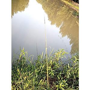 XMHF Traveling Fishing Rod 7 Sections Telescopic Pole Retractable Angling Fishing Pole Rod 1.9M Length