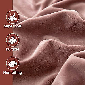 Grassix Velvet Queen Duvet Cover Set, Luxury Velour Duvet Cover 3 Pcs Duvet Cover Sets with 2 Pillowcases, Super Cozy Comforter Cover Sets Zipper Closure with 8 Corner Tie for All Seasons